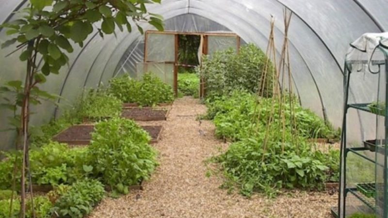 Harington Open Days - Crouch End Open Space