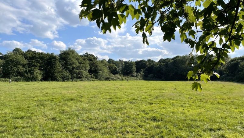 New plans for the school playing field - Crouch End Open Space